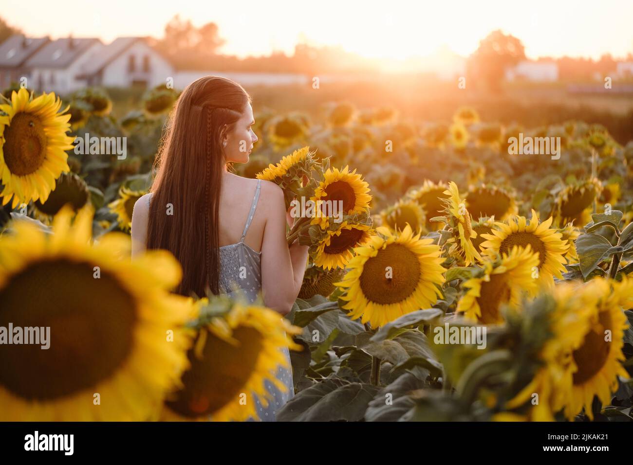 Woman on sunflower field young cheerful person holding hands up in air ...