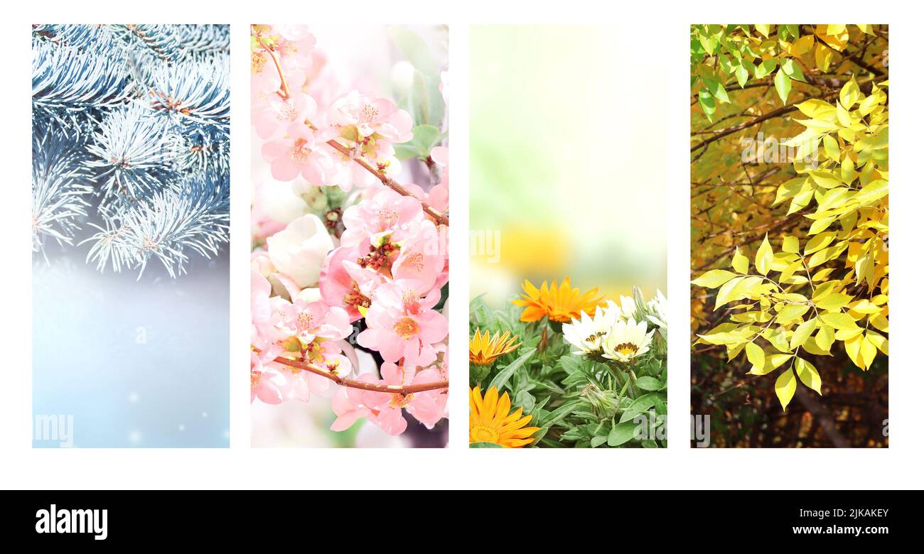 Four seasons of year. Set of vertical nature banners with winter ...
