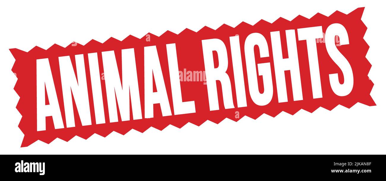 ANIMAL RIGHTS text written on red zig-zag stamp sign Stock Photo - Alamy