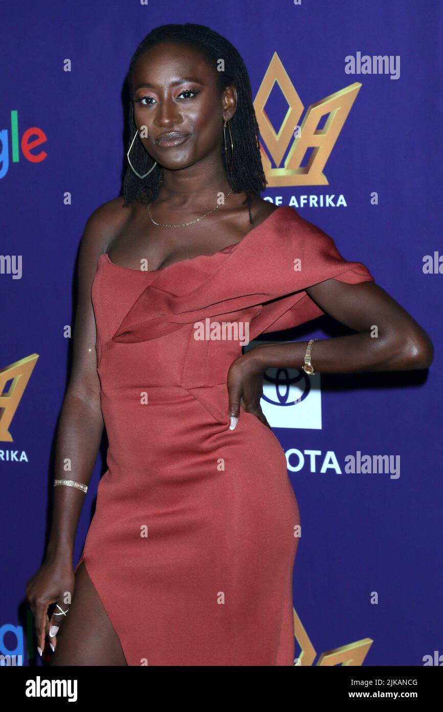 LOS ANGELES - JUL 31: Afia Anim at the Heirs of Afrika 5th Annual ...