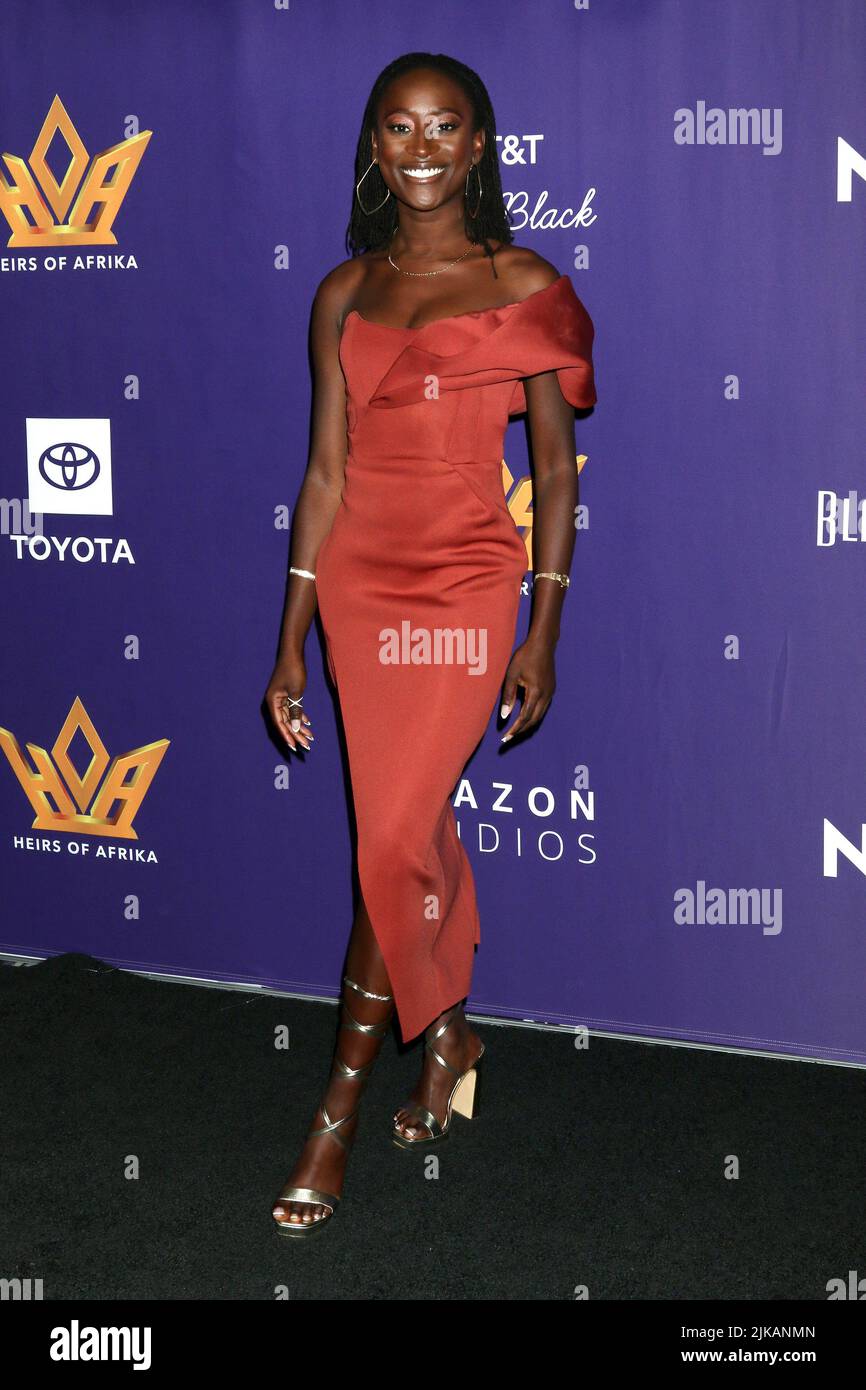 LOS ANGELES - JUL 31: Afia Anim at the Heirs of Afrika 5th Annual ...