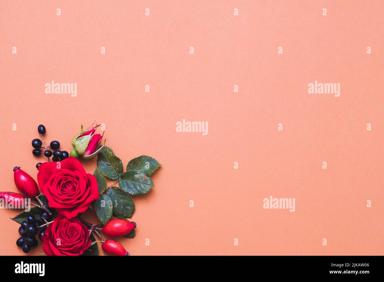 Coral background hi-res stock photography and images - Alamy