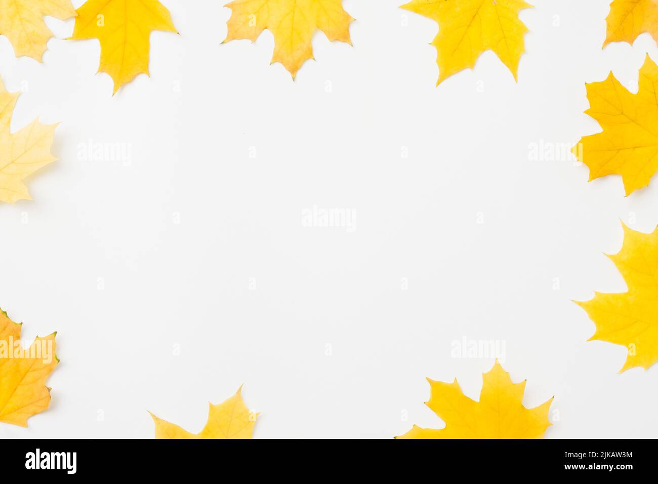 autumn season background yellow leaves frame Stock Photo - Alamy