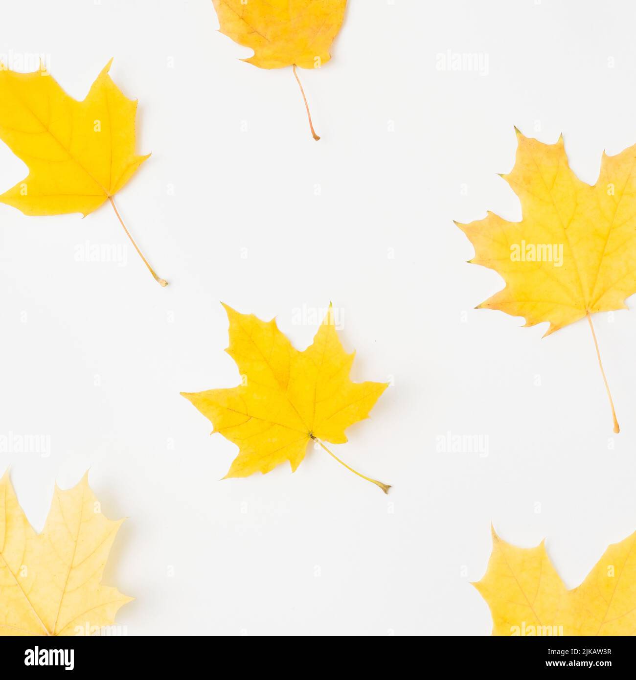 Yellow leaves pattern hi-res stock photography and images - Alamy