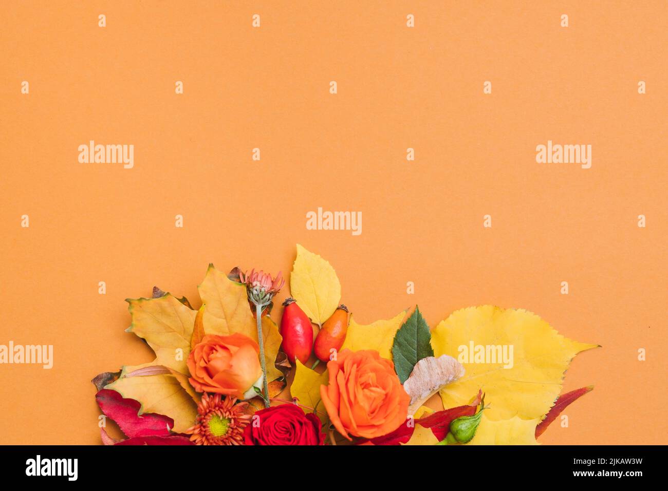 autumn floral bouquet fall colorful background Stock Photo - Alamy