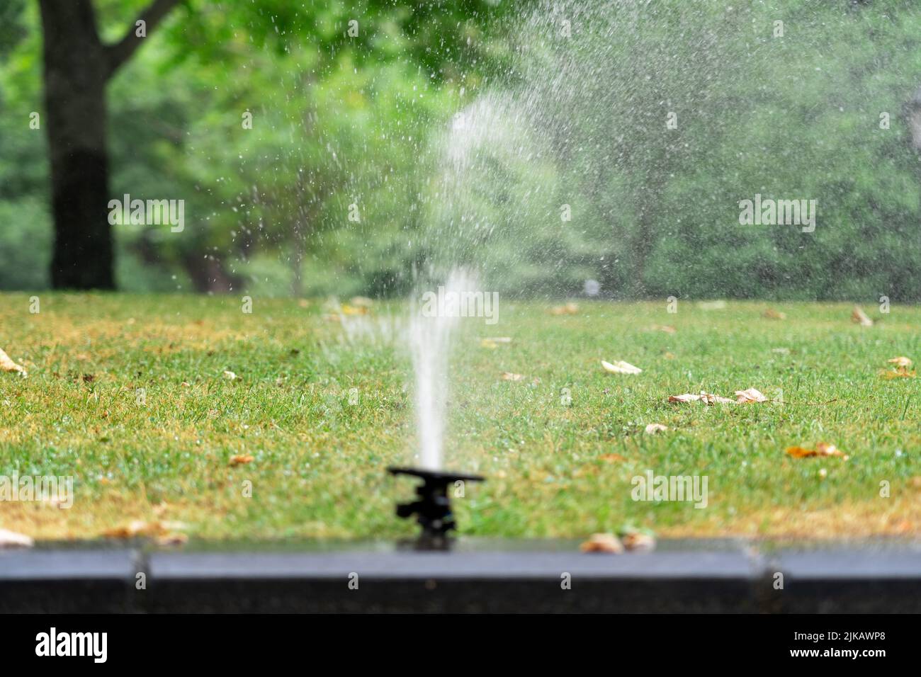 Plastic sprinkler hi-res stock photography and images - Alamy