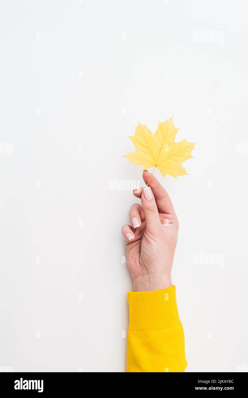 Hand with maple leaf hi-res stock photography and images - Alamy