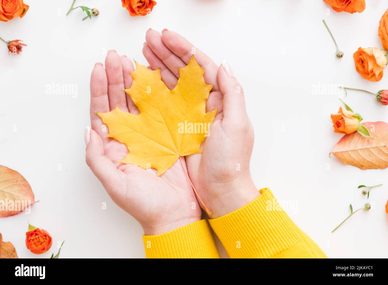 Fall of the leaf hi-res stock photography and images - Alamy