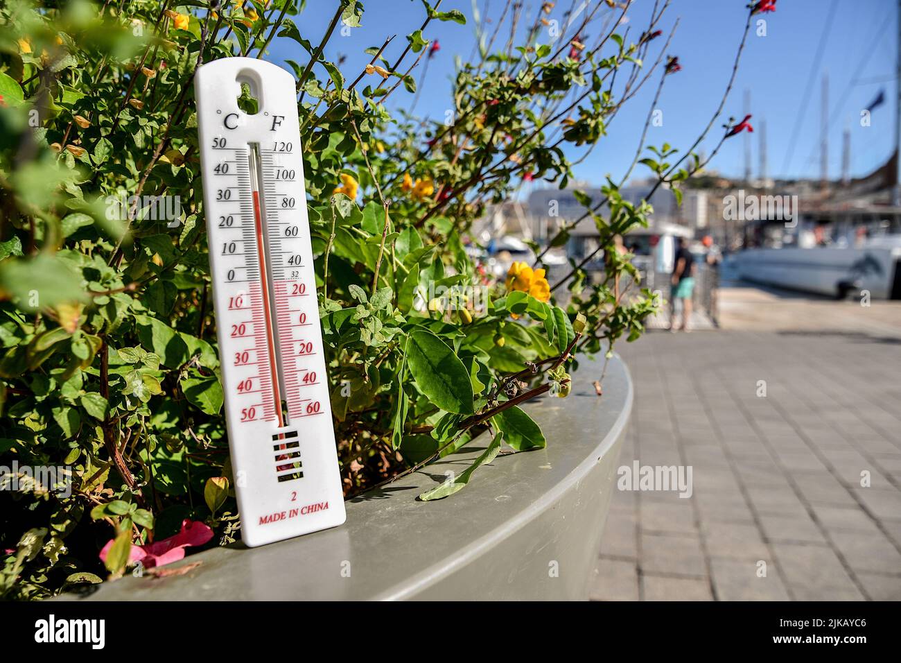 Marseille, France. 30th July, 2022. A thermometer is seen with plants ...