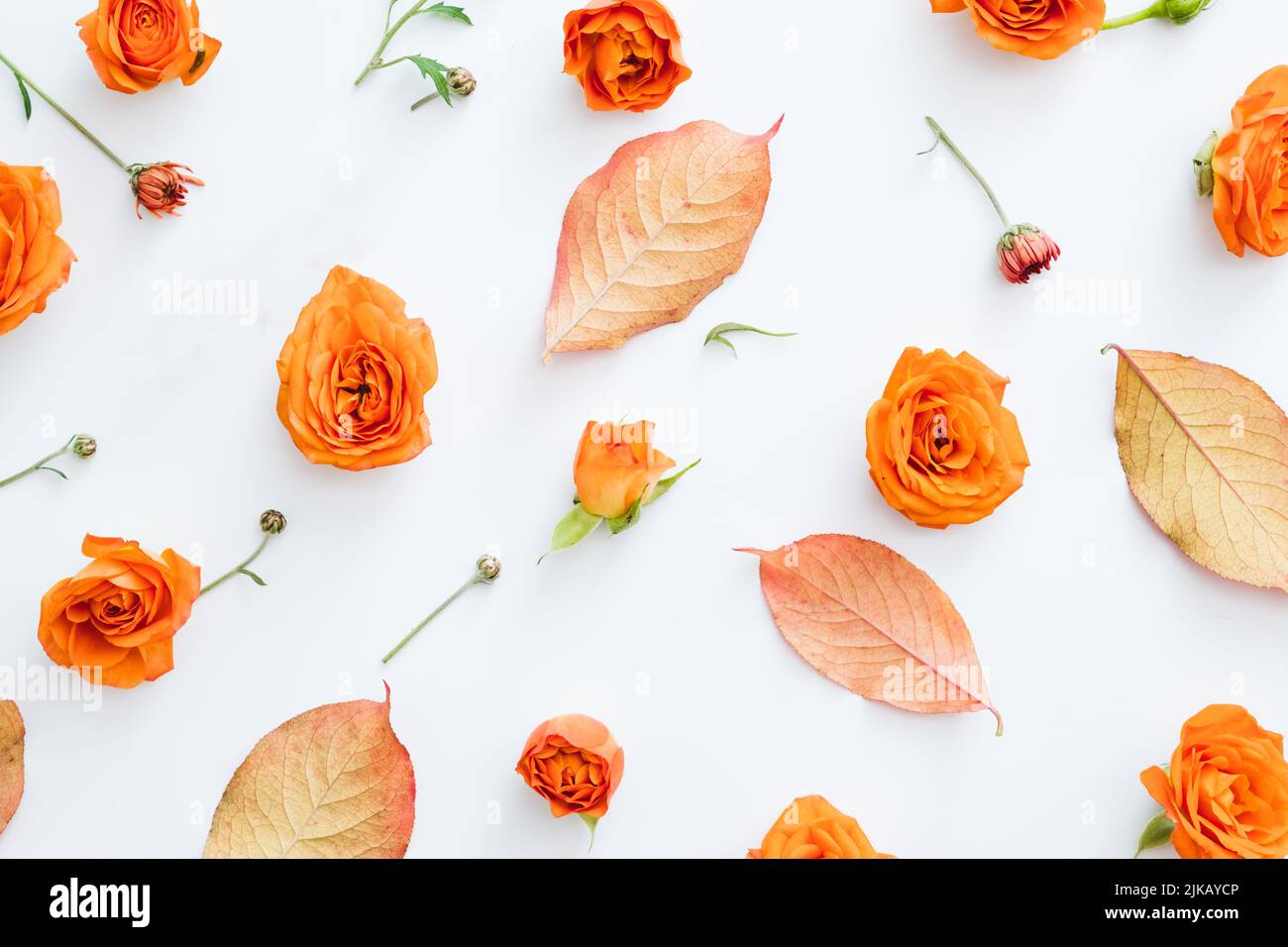 creative floral arrangement white background Stock Photo - Alamy