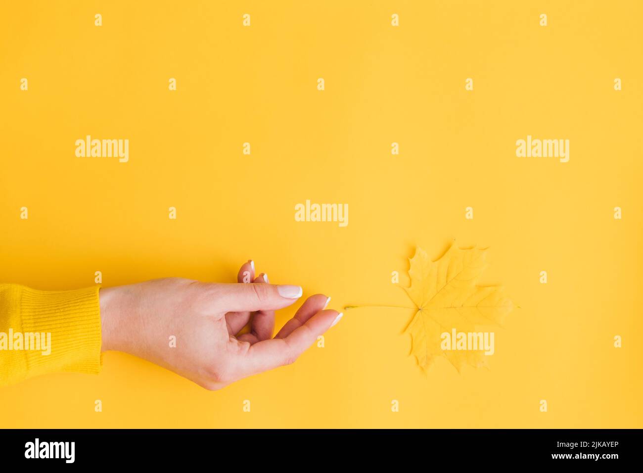 Hand orange hi-res stock photography and images - Alamy