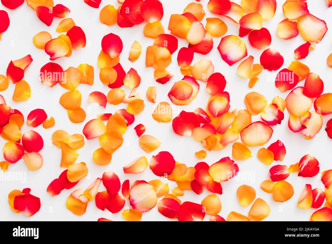 Scattered floral pattern hi-res stock photography and images - Alamy