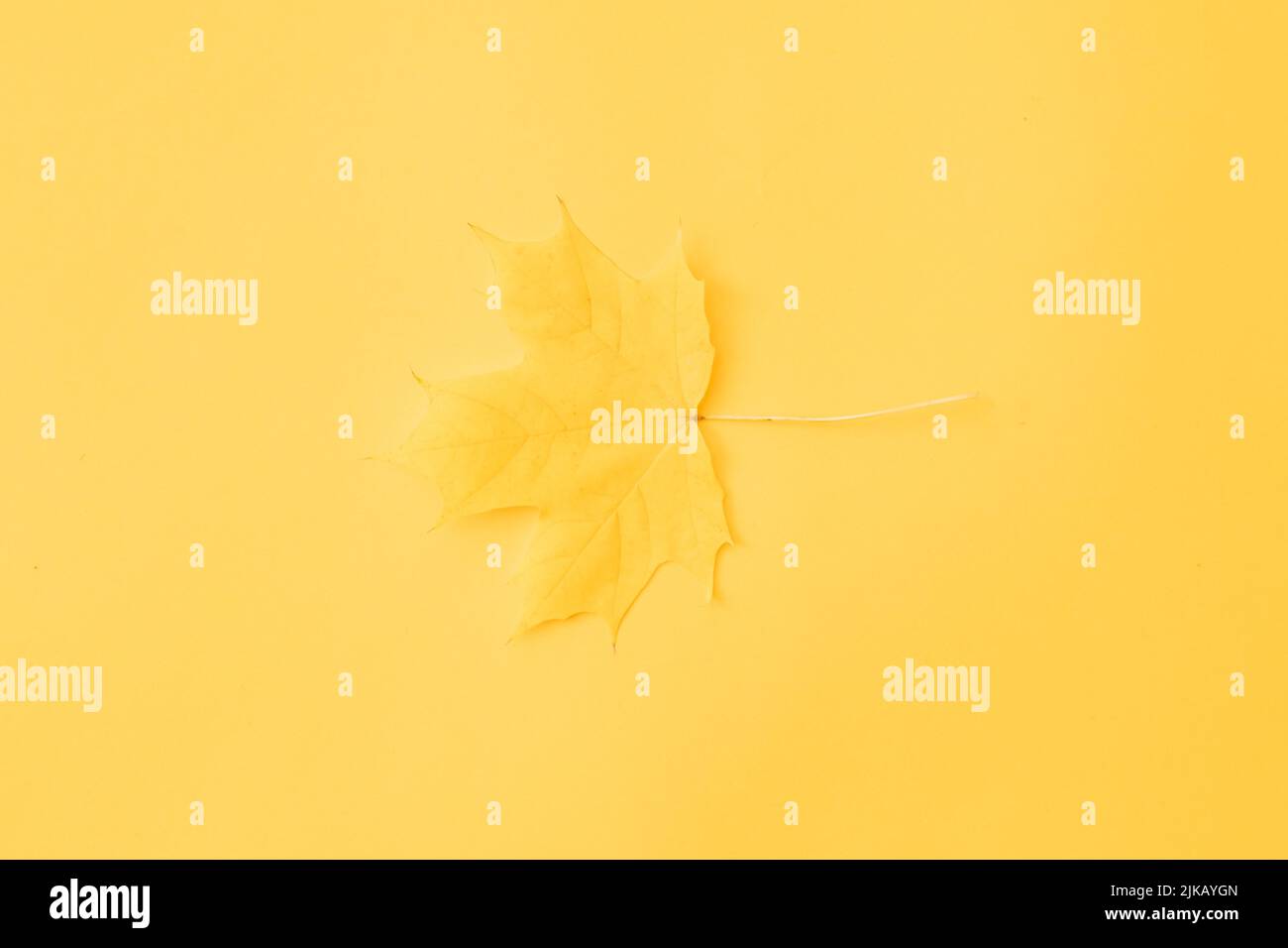 Abstract maple leaf hi-res stock photography and images - Alamy