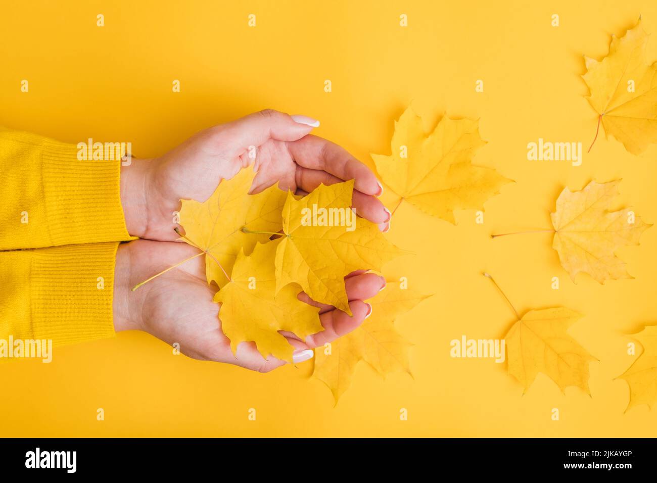 Leaves hands hi-res stock photography and images - Alamy