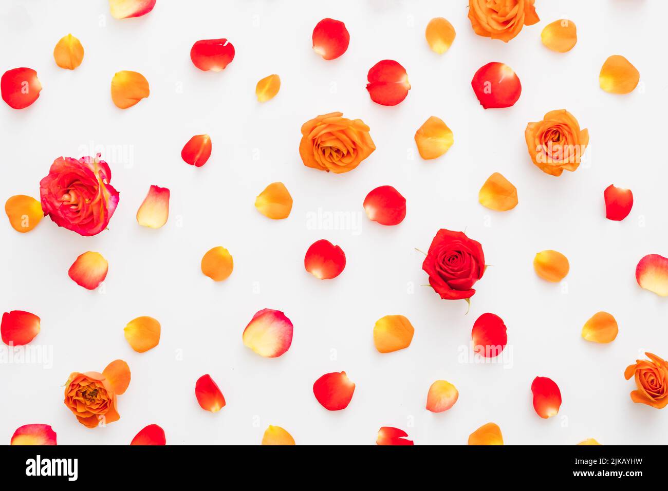 creative floral arrangement rose background Stock Photo - Alamy