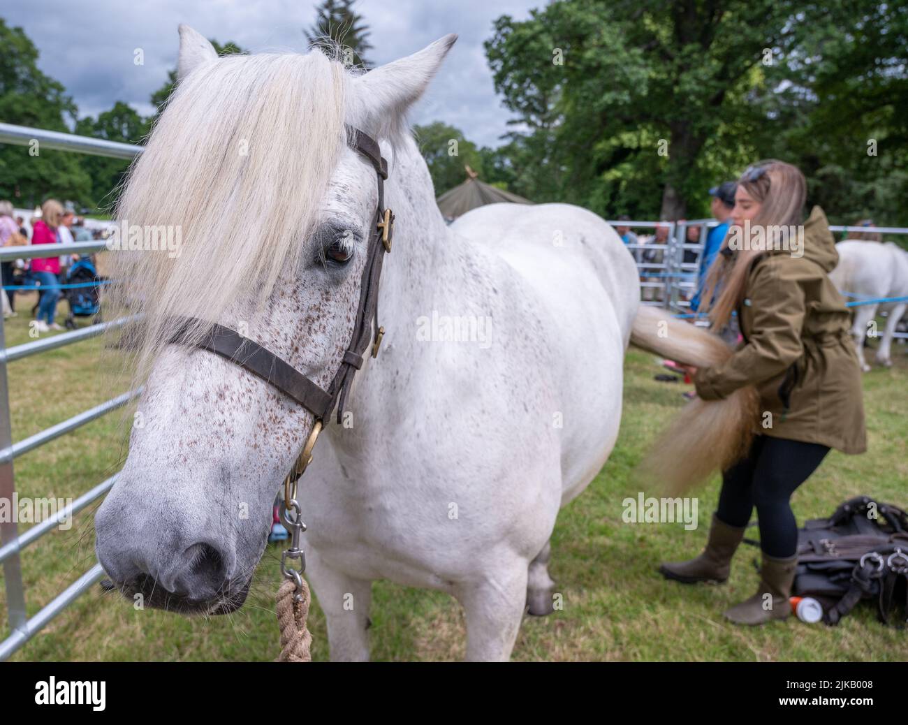 GWCT Scottish Game Fair 2022 at Scone Palace, Perthshire. The Fred ...