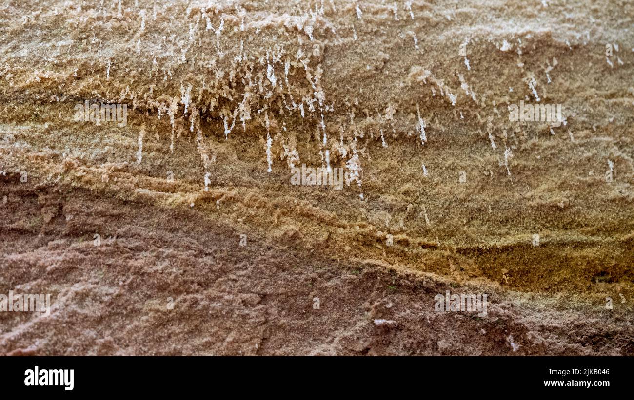 Grey and brown genuine sandstone background, real beach rock pattern. A ...