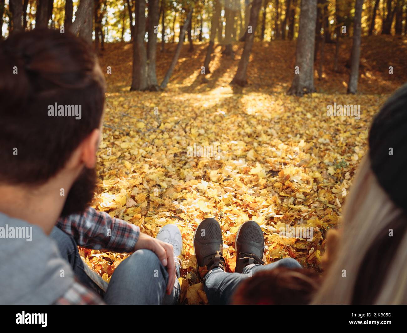 Autumn meadow couple trees hi-res stock photography and images - Alamy