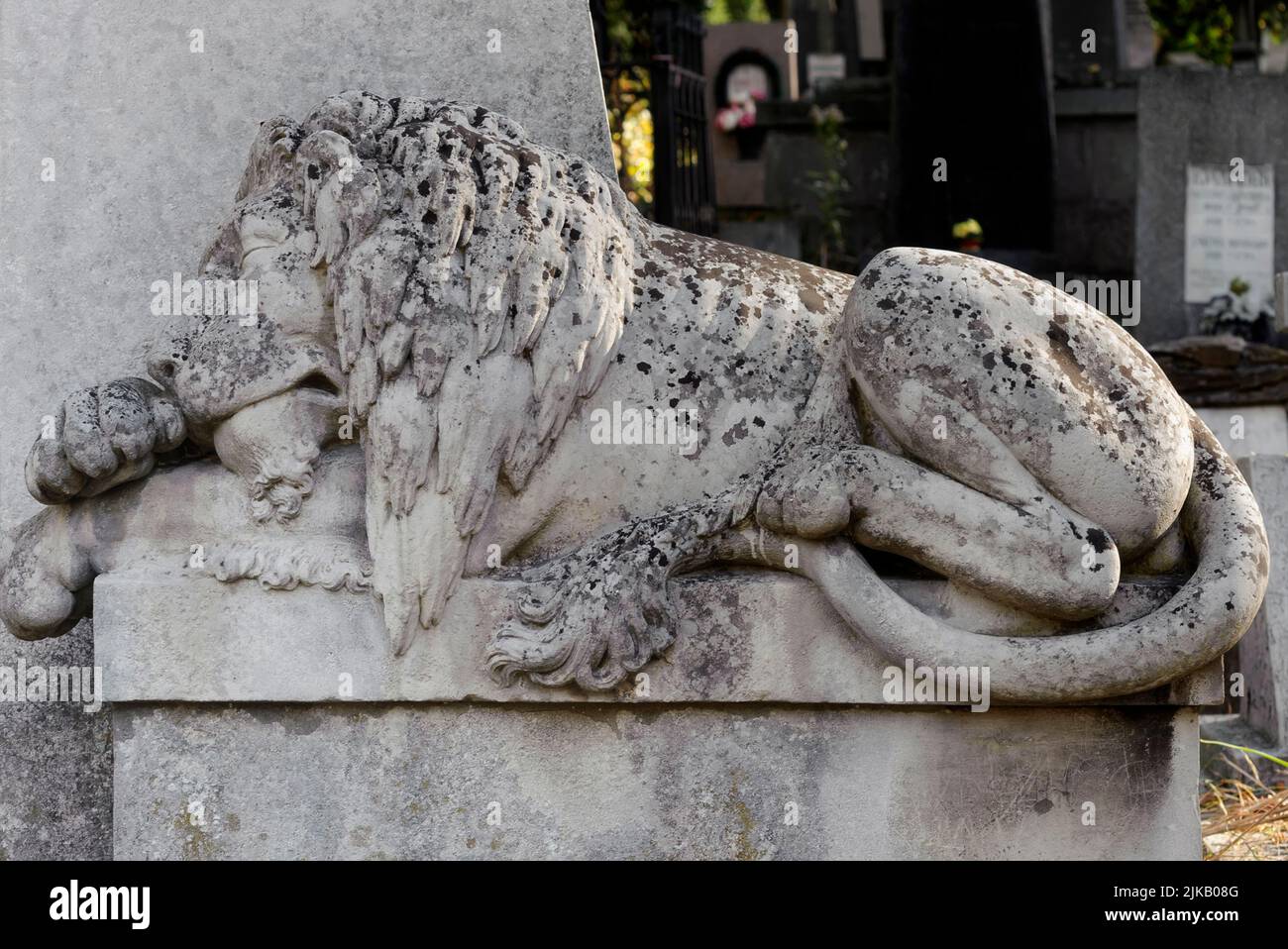 Old lion statue on grave in the Lychakiv cemetery of Lviv, Ukraine ...