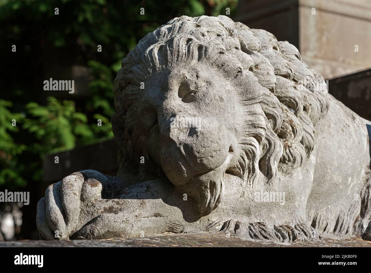 Closeup of old sculpture of a sleeping lion at Lychakiv cemetery in ...