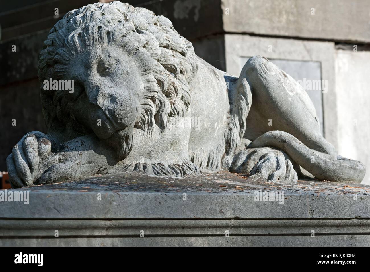Old sculpture of a sleeping lion at Lychakiv cemetery in Lviv, Ukraine ...