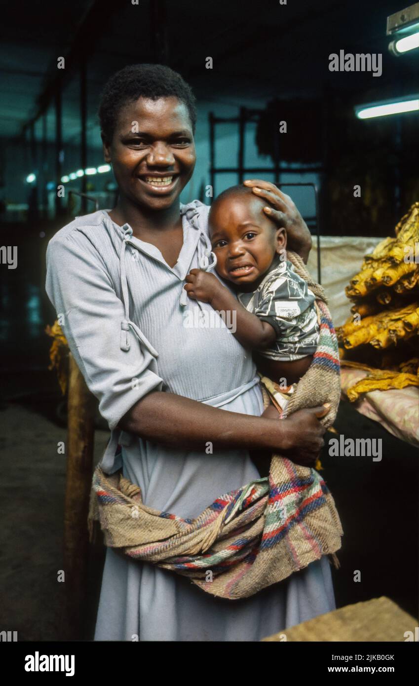 Young mother holding a crying baby on the production line at a tobacco ...