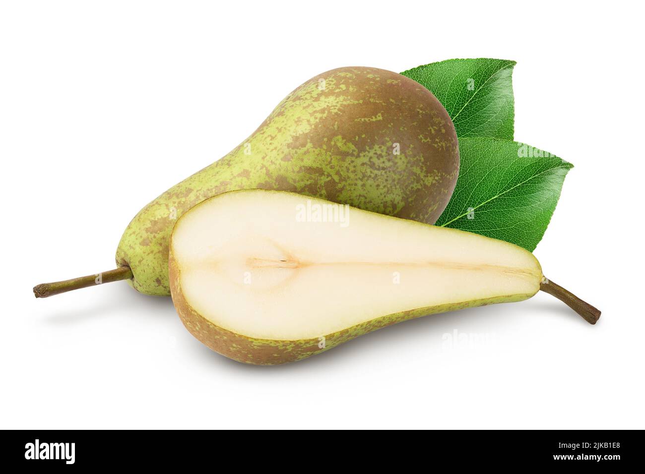 Green conference pear isolated on white background with full depth of ...
