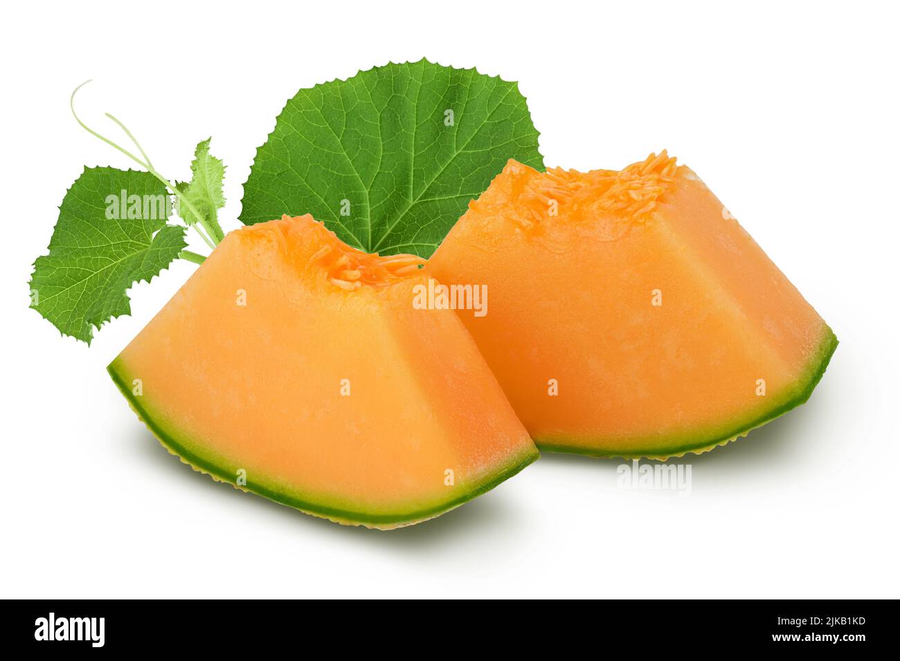 Cantaloupe melon piece isolated on white background with full depth of ...