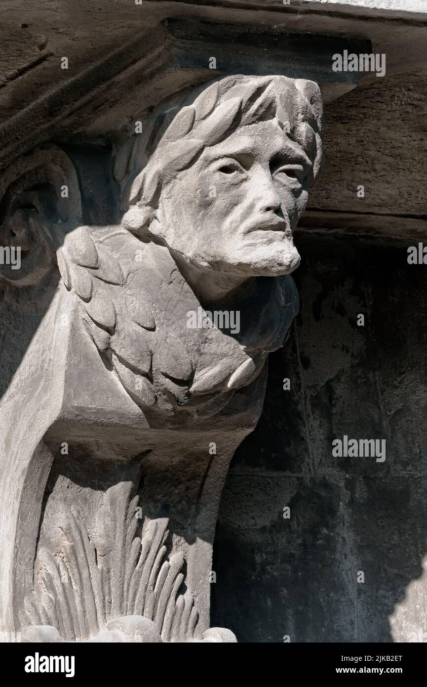 Human lion hybrid hi-res stock photography and images - Alamy