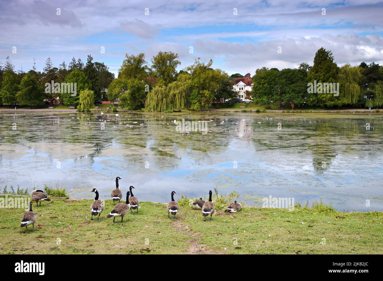Roath park landscape hi-res stock photography and images - Alamy