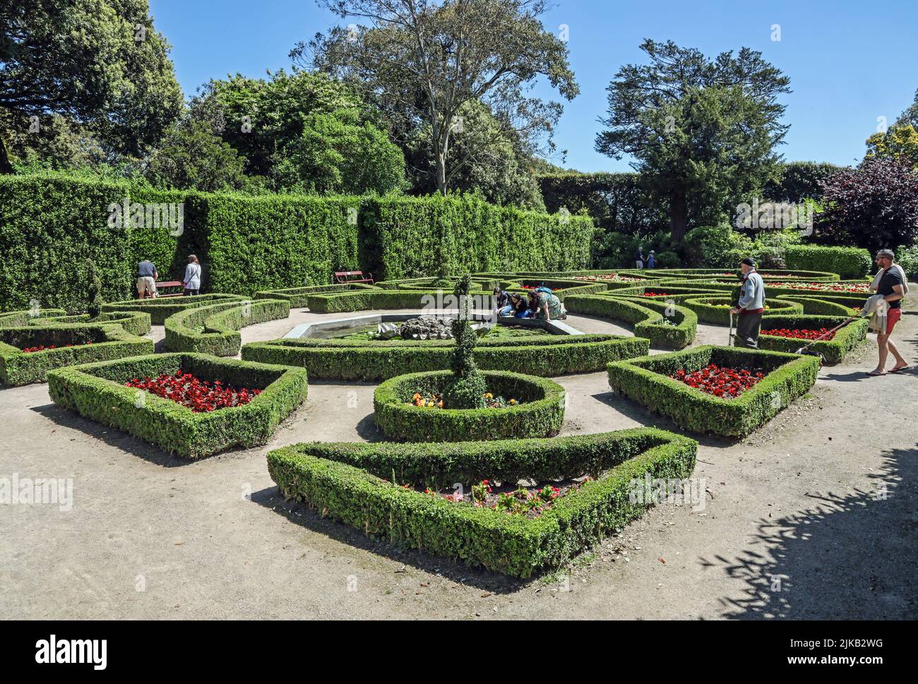 French Garden at Mount Edgcumbe Park Cornwall May 2022. Box hedges and ...