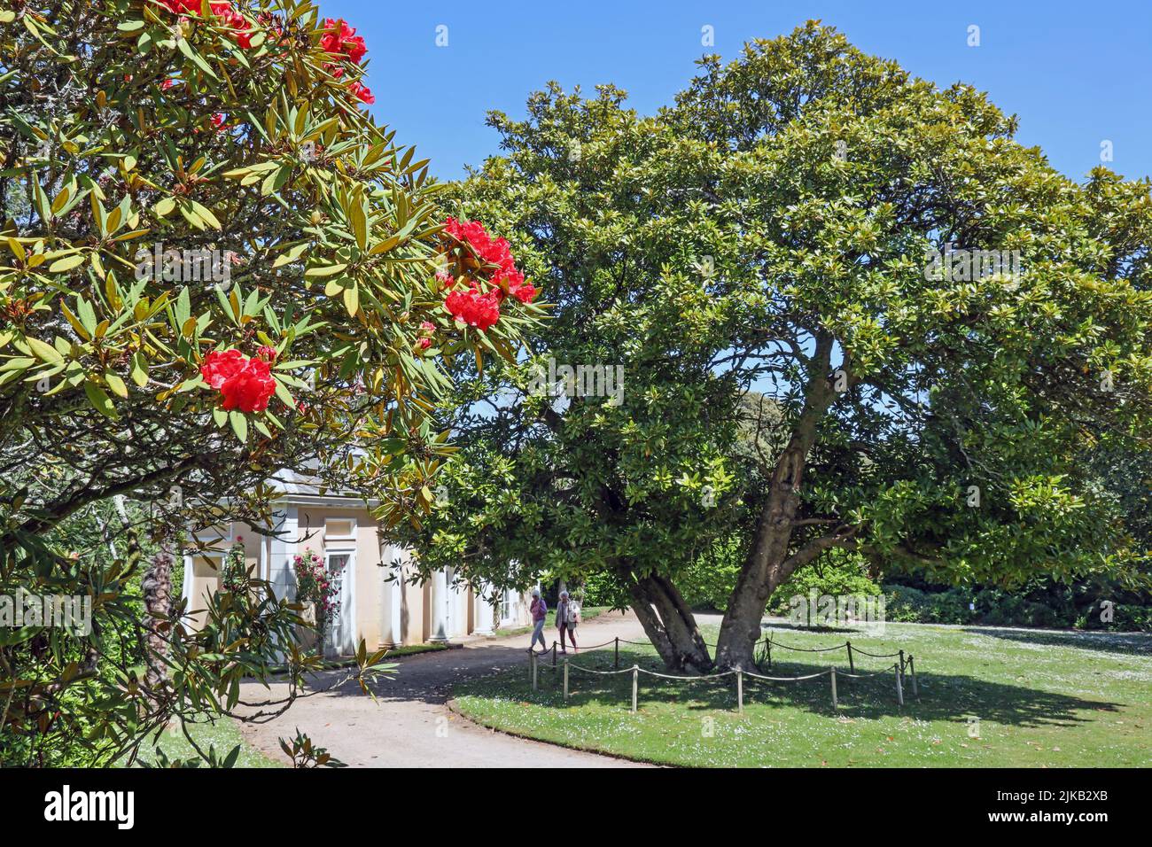Richard edgcumbe hi-res stock photography and images - Alamy