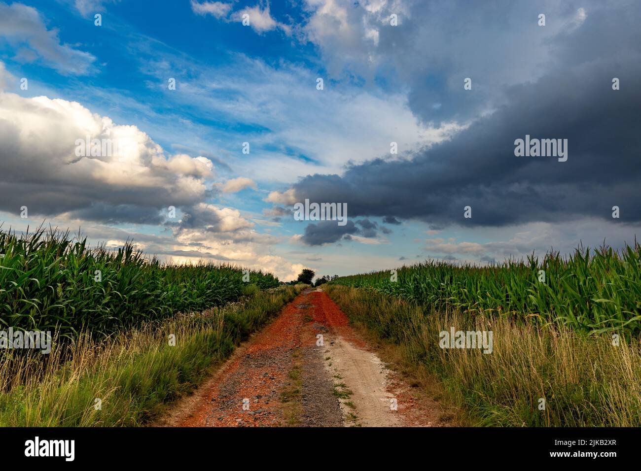 Country road fields night dark hi-res stock photography and images - Alamy