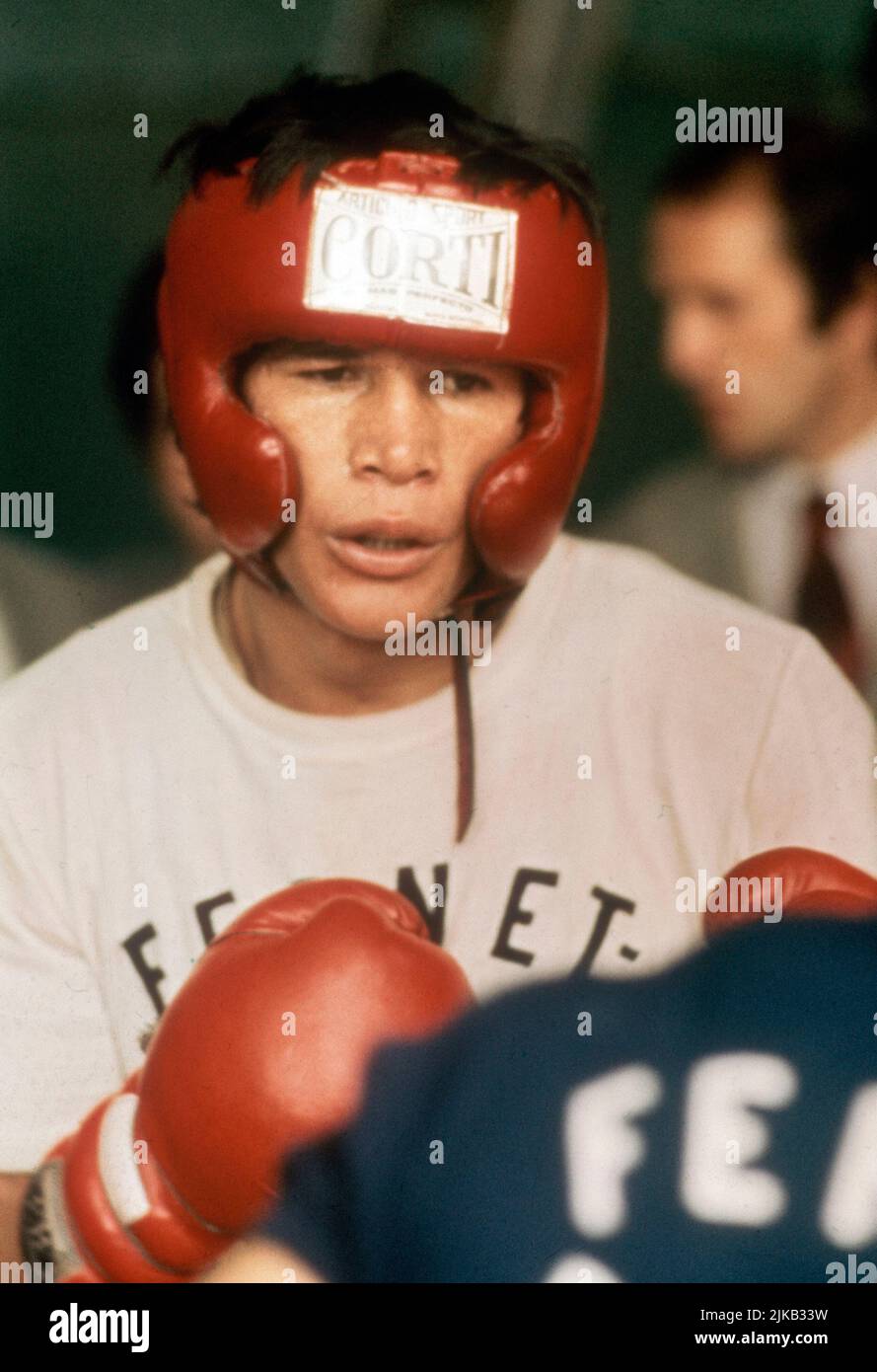 Boxeador boxeador boxeador hi-res stock photography and images - Alamy