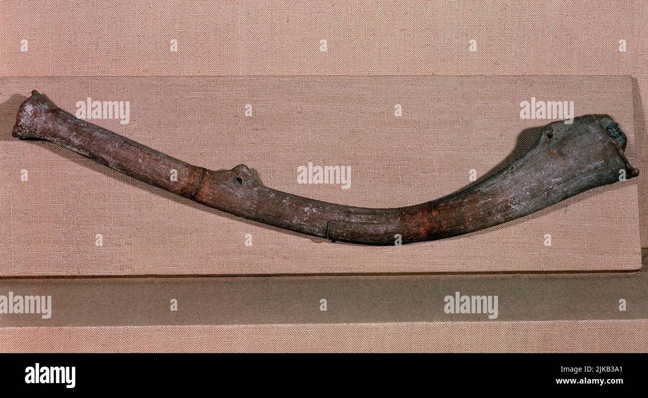 LITUO - INSTRUMENTO MUSICAL ROMANO. Location: BRITISH MUSEUM. LONDON ...