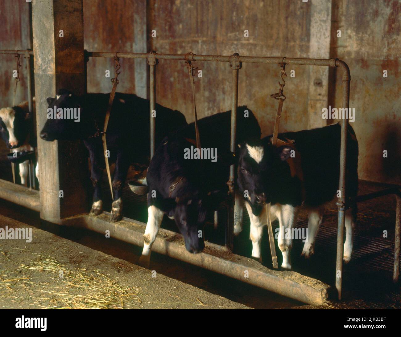 Monasterio osera hi-res stock photography and images - Alamy