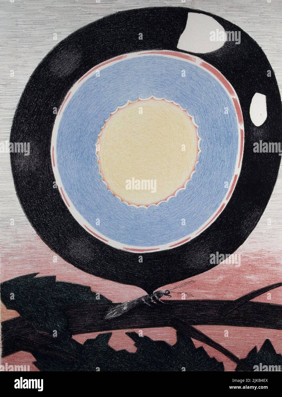 OPPENHEIM , MERET. PINTORA Y FOTOGRAFA SUIZA 1913-1985 ...