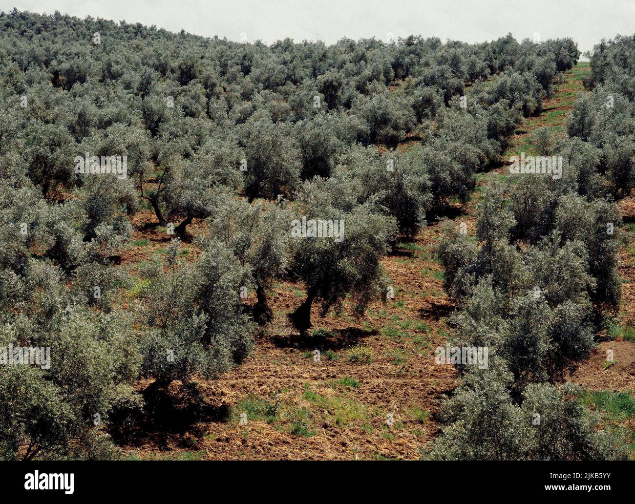Cordoba provincia hi-res stock photography and images - Alamy