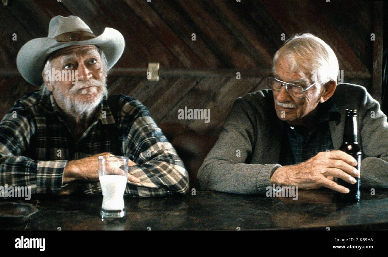 Richard Farnsworth & Wiley Harker Film: The Straight Story (USA/UK/FR ...