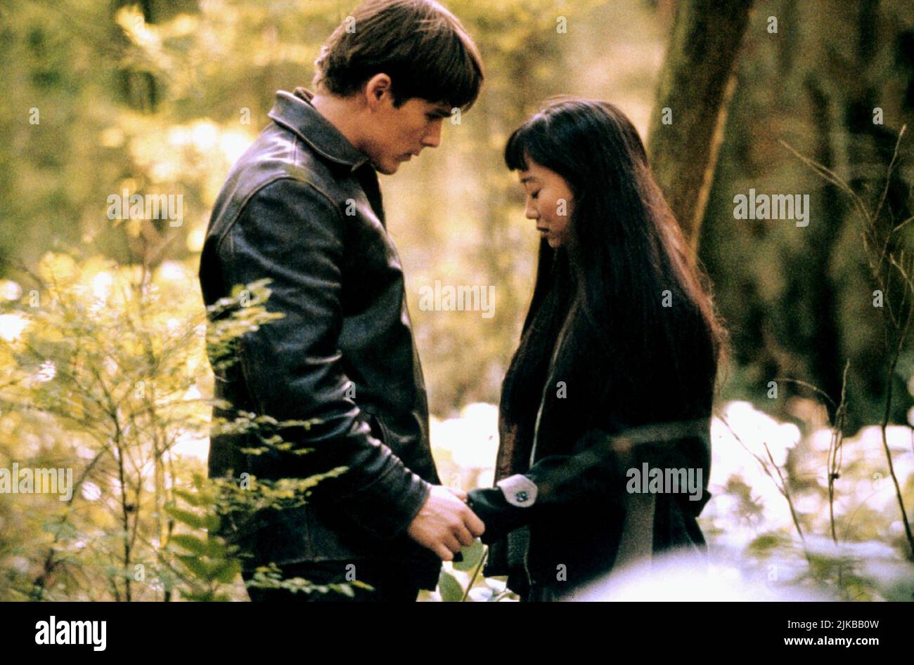 Ethan Hawke & Youki Kudoh Film: Snow Falling On Cedars (USA 1999) Characters: Ishmael Chambers ...