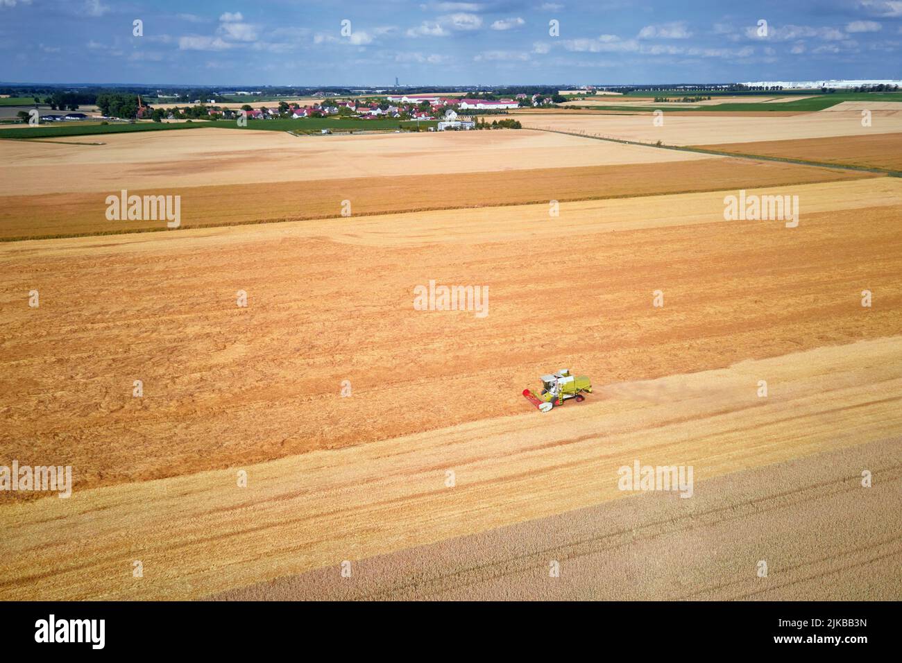Combine harvester collecting golden wheat field, Harvesting machine ...