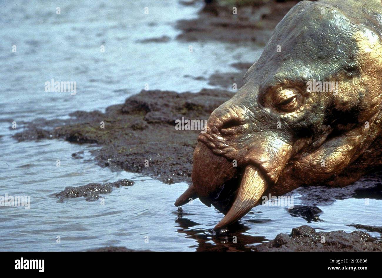 Placerias hi-res stock photography and images - Alamy