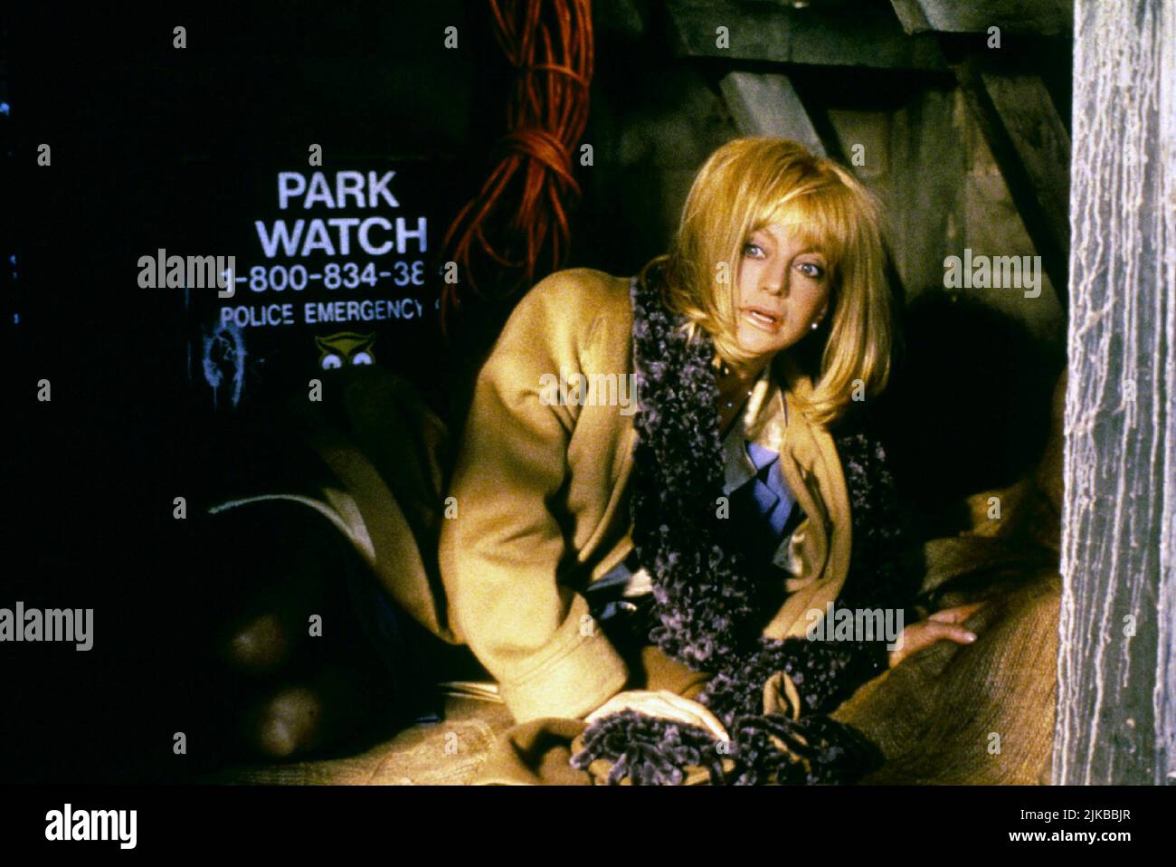 Goldie Hawn Film The Out-Of-Towners (1999) Characters: Nancy Clark ...