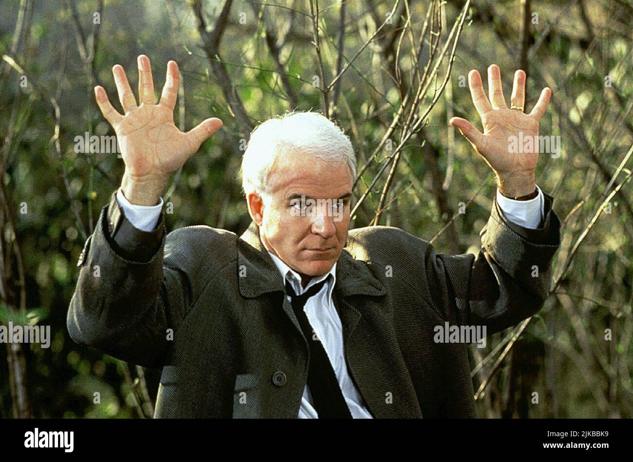 Steve Martin Film The Out-Of-Towners (1999) Characters: Henry Clark ...