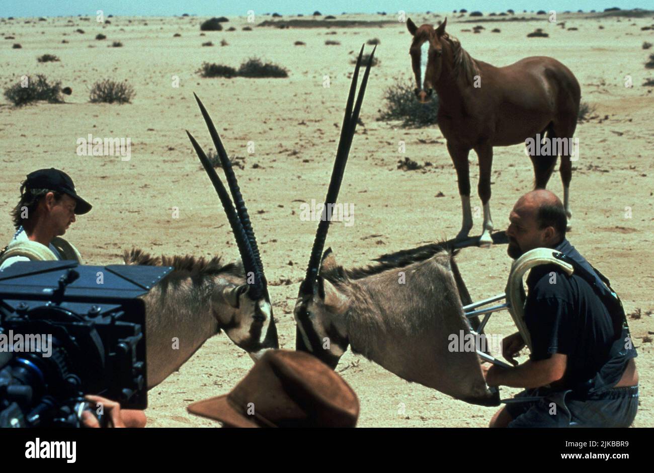 Antelope Scene Film Running Free (1999) Director: Sergei Bodrov 10 ...