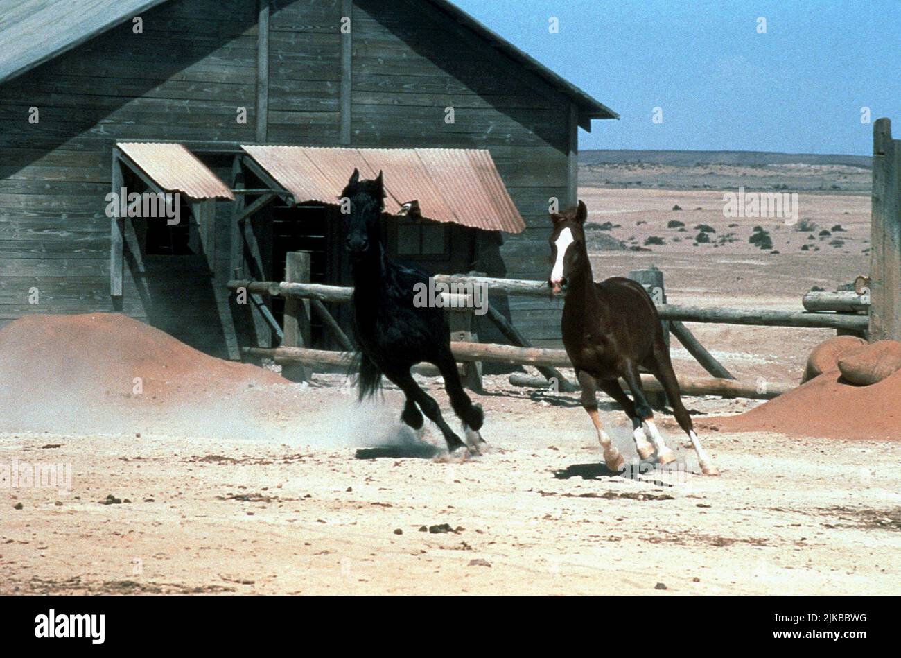 Running horse lucky hi-res stock photography and images - Alamy