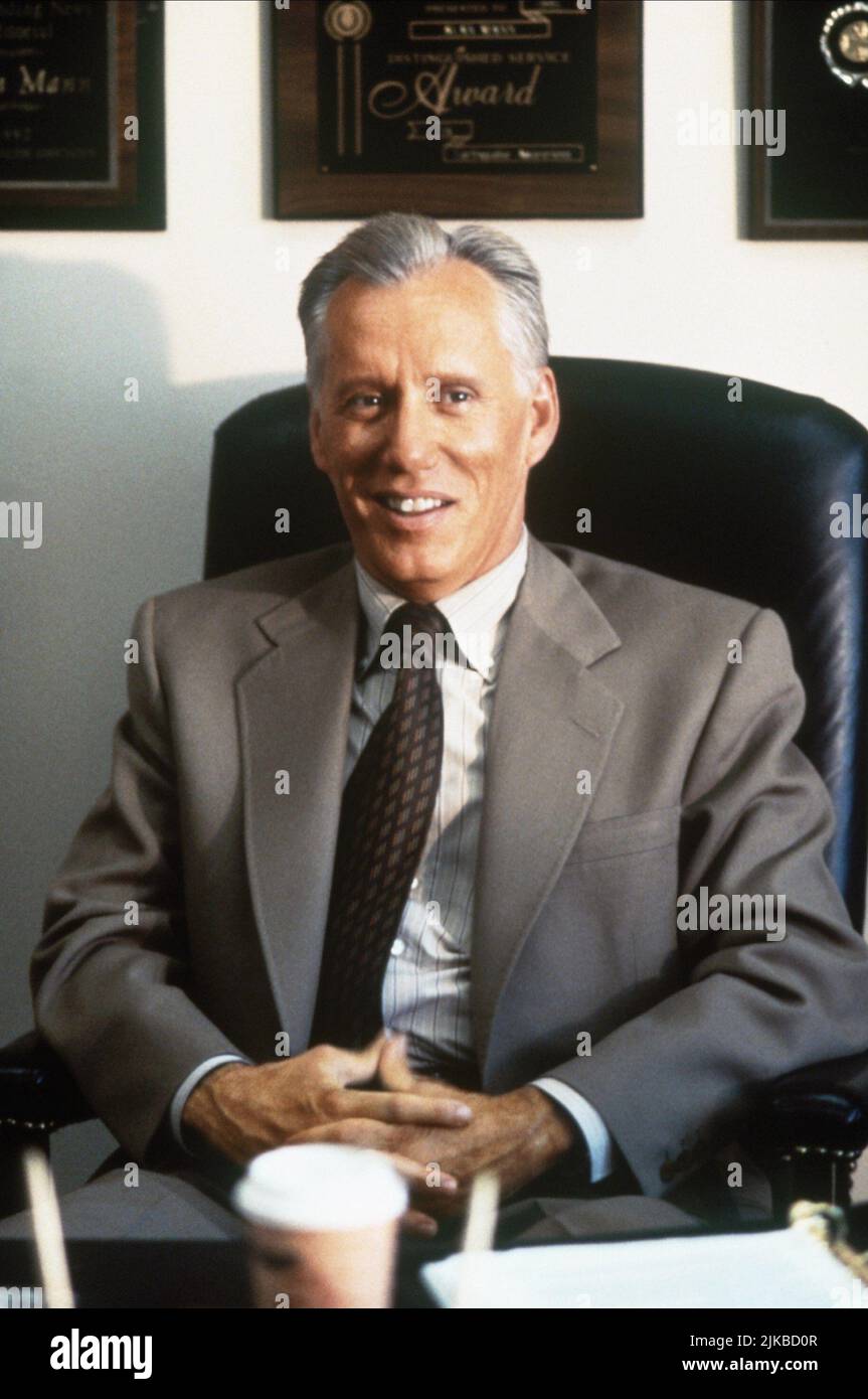 James Woods Film True Crime (USA 1999) Characters: Alan Mann Director ...