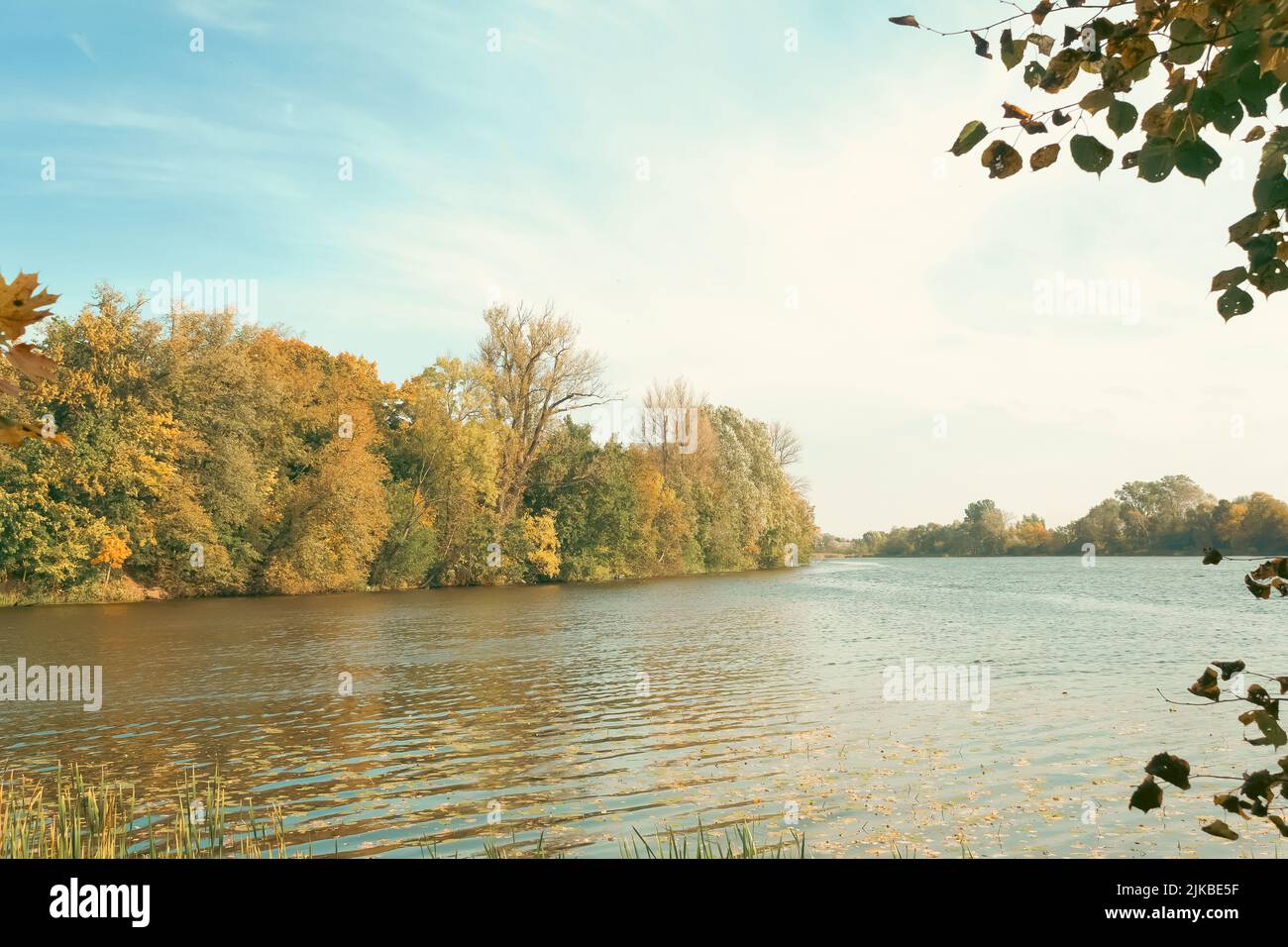 Beautiful landscape, trees with yellow leaves on the river bank. Autumn ...