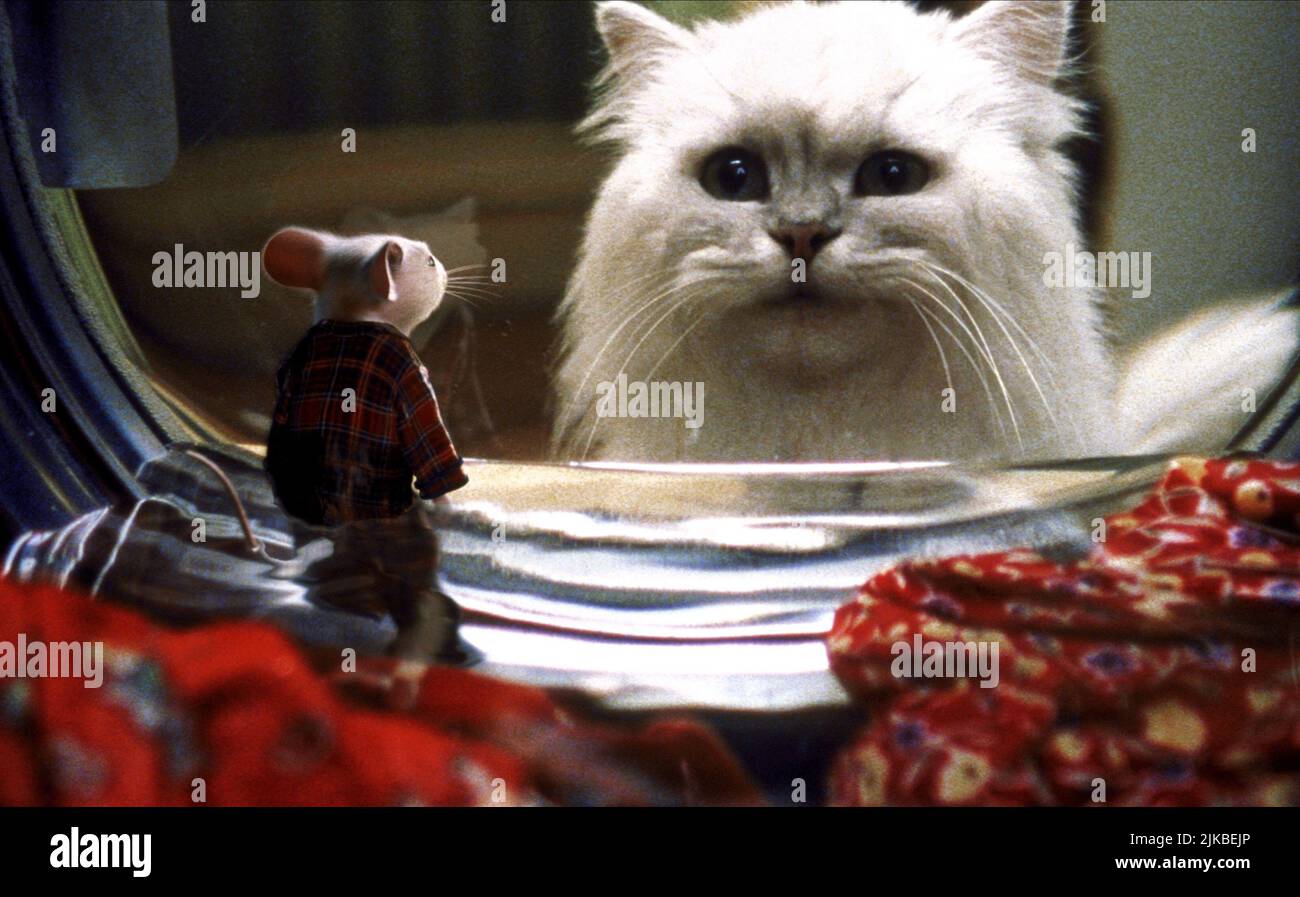 Stuart Little Snowbell Book