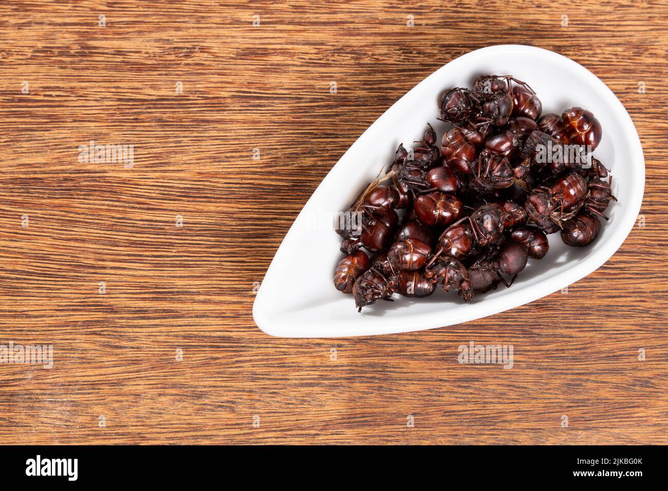 Ants culonas Typical Gastronomy of Santander Colombia; Photo On Wood ...